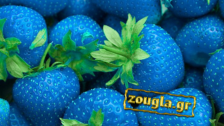 Τα πικρά... γλυκά του Παπαμιμίκου - Zougla